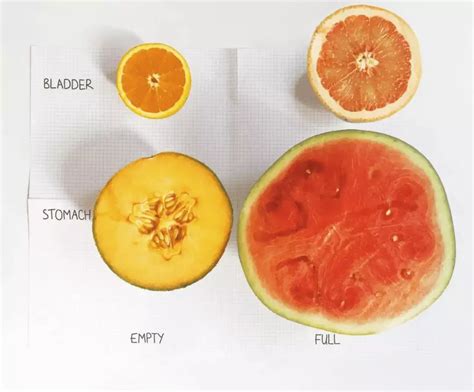 5个技巧玩转数据差异可视化——刻意使用视觉编码实现对比 知乎