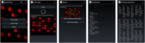Overview Of The “spot An Array” Android Application User Interface For
