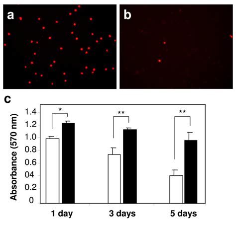 Comparative Viability Of Lsecs Cultures Maintained Under High And Low Download Scientific