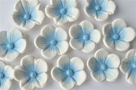 24 Edible Blue White Blossom Flowers Edible Wedding Cake Flower