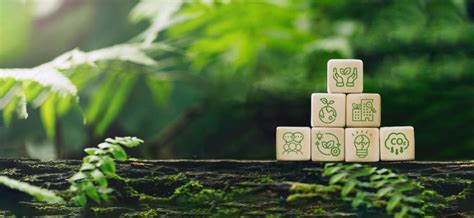 Savills India Implementing Sustainability Strategies For Businesses