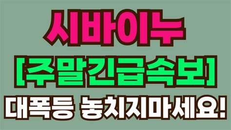 시바이누 코인 전망 🚨주말 긴급 속보🚨대폭등 놓치지마세요 Youtube