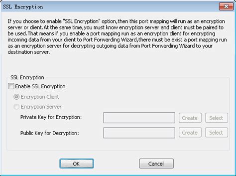 The Powerful Ssl Port Forwarding Program For Windows