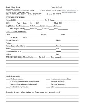 Intake Data Sheet Doc Template PdfFiller