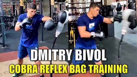 Dmitry Bivol Cobra Reflex Bag Training YouTube