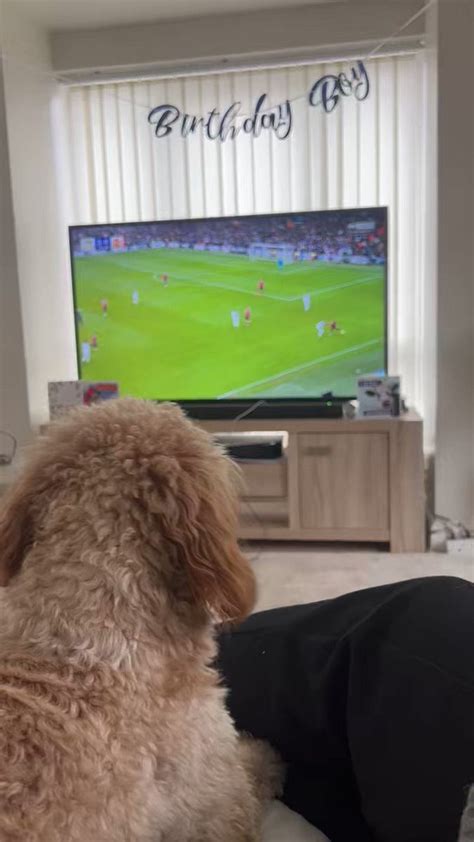 Brett Morse OLY On Twitter If Leeds Score And He Celebrates