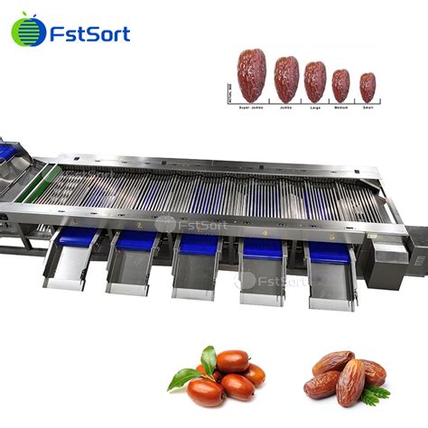 Dates Processing Machinery Dates Grading Packing Equipment Jujube Sorter Grader Fstsort