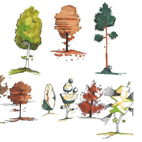 Various Trees Are Shown In This Drawing