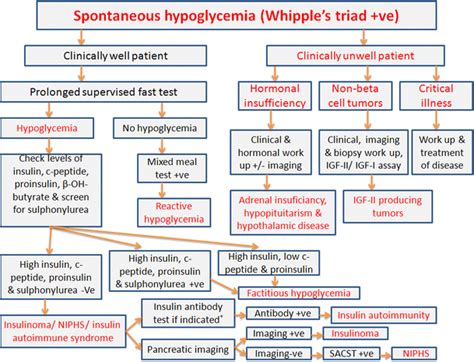 Diagnostic Algorithm For Spontaneous Hypoglycemia Igf I Insulin Like