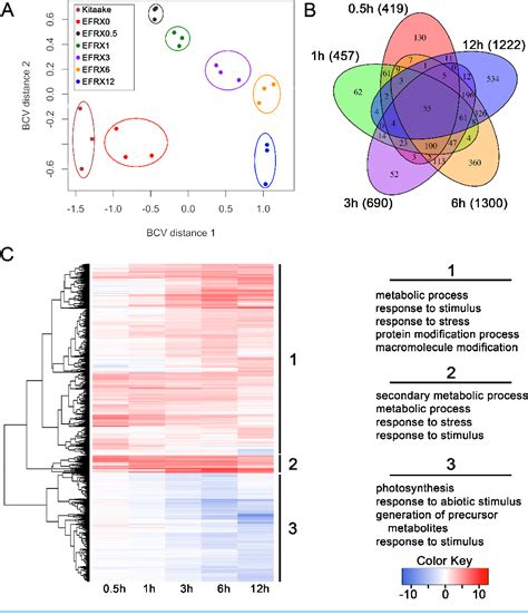 Figure 1 From Distributed Under Creative Commons Cc By 40 Xa21 Specific Induction Of Stress