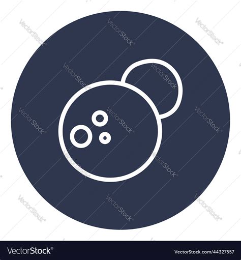 Space Rocks On A White Background Royalty Free Vector Image