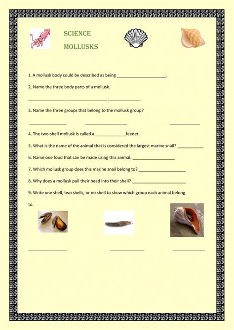 Mollusk Worksheet Live Worksheets Worksheets Library