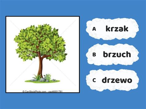 Słowa z rz i ż - Quiz