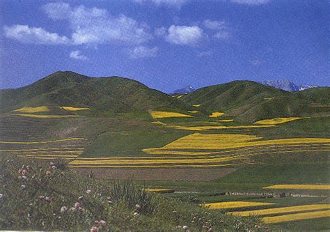 武威自然風光山野如畫 每日頭條