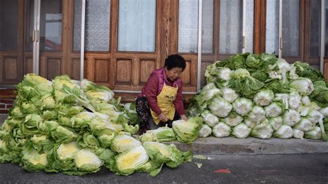 200포기 김장하는 시골 할머니 김장 1부 Youtube