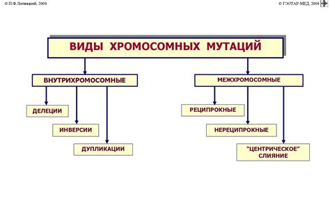 Наследственность и патология Online Presentation