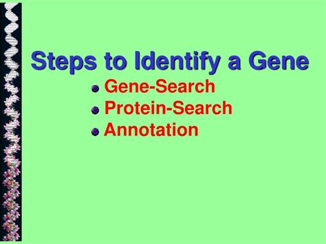 Ppt Bioinformatics 95 Lecture 1 Introduction To Bioinformtics
