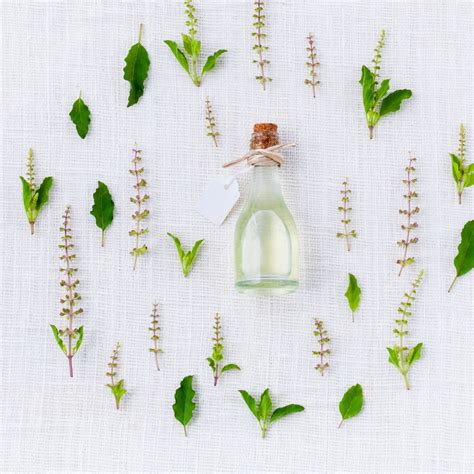 Ayurvedic Medicine Manufacturers In Surat Care Botanical