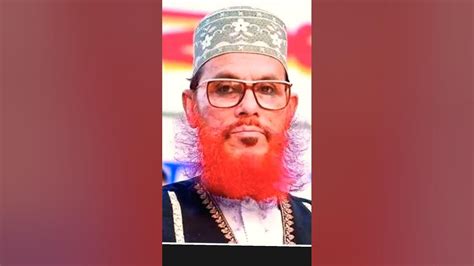 আল্লামা দেলোয়ার হোসেন সাইদি Youtube