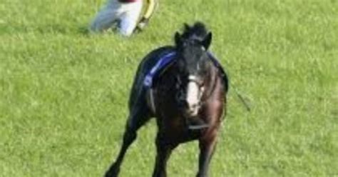 天皇賞春 有力馬考察｜前山千尋の副業競馬への道｜note
