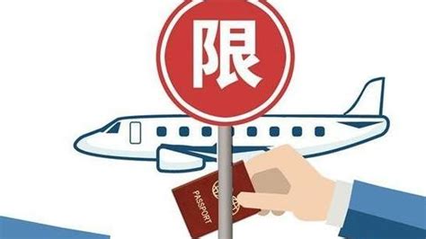 “限高”人员找被“限高”的黄牛买机票出境？上海法院：拘留暖心帧澎湃新闻 The Paper
