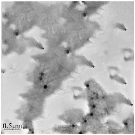 Pvdc Degradable High Barrier Composite Material And Preparation Method