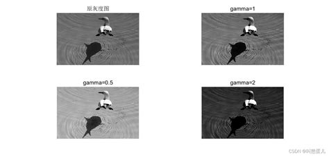 图像的常用灰度变换——负片、伽马变换、对数变换、直方图均衡化、自适应灰度变换及其matlab实现对一幅图像进行灰度变化实现负片效果显示并保存负片文件。 Csdn博客