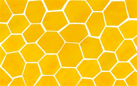 Real Beehive Hexagon