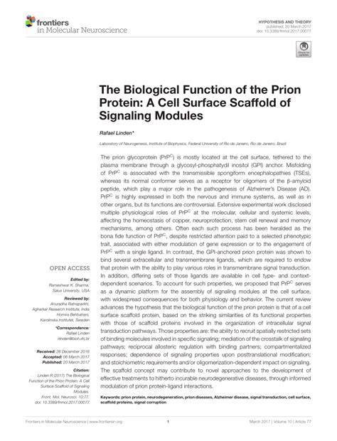 Pdf The Biological Function Of The Prion Protein A Cell Surface