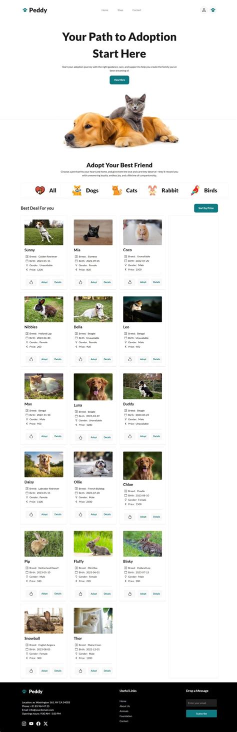 Webdevelopment Javascript Tailwindcss Frontend Mehedi Hasan