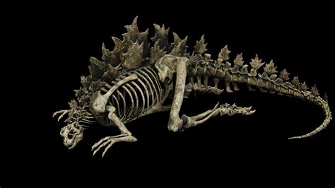 3d Model Godzilla Skeleton Vr Ar Low Poly Cgtrader