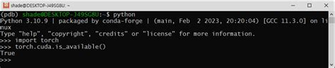 Wsl 2 Pytorch Cuda Gpu 설치
