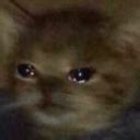 Ce Sadcat Discord Emoji