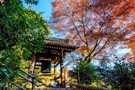 鐘楼と紅葉 GANREF