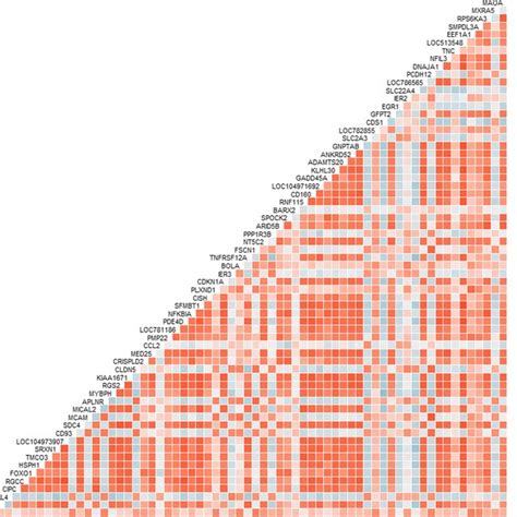 Correlation Matrix Plot The Differing Colors Represent Differing