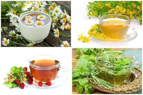 Травяные чаи: какие бывают, когда какие пить и с чем сочетать - 1MIXTIPS.RU