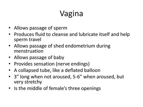 Can Babies Produce Sperm