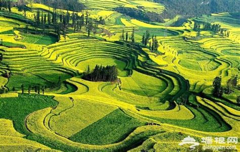 2019陕西汉中油菜花节 陕西旅游资讯 墙根网