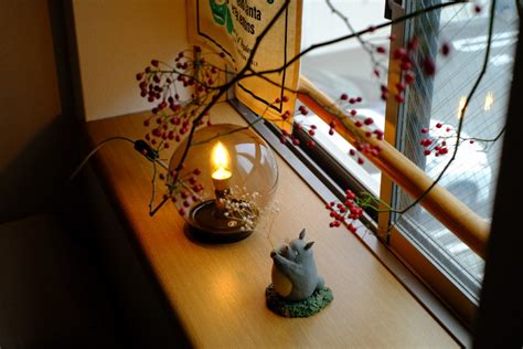 【ドライフラワー】野ばらの実を部屋に飾るとオシャレすぎた！！！ ズボラなキリン