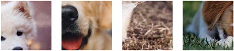 Image Decoder Examples Cpu — Nvidia Dali 110 Documentation