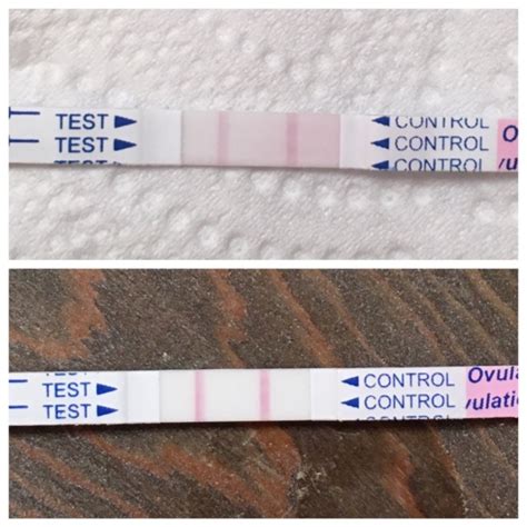 Positive Or Negative Ovulation Test Glow Community
