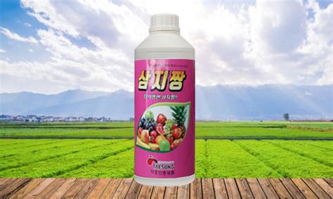 주 대농바이오텍 삼지짱 구 삼지창