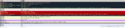Wireshark抓包：报文信息wireshark查看报文内容 Csdn博客