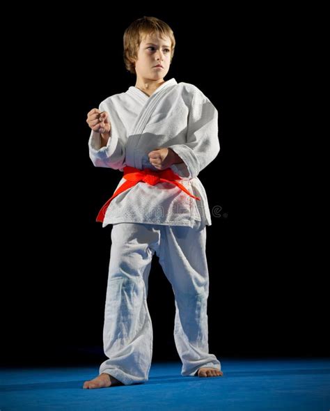 Lutador Das Artes Marciais Do Menino Imagem De Stock Imagem De Arte