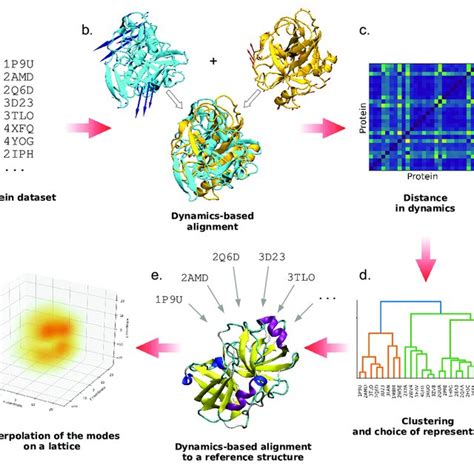 Schematic Representation Of The Workflow Proposed Once The Protein Schematic Representation Of The Workflow Proposed Once The Protein