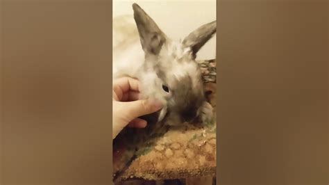 я когда злюсь😂 - YouTube