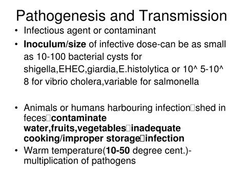 Ppt Understanding Food Borne Diseases Global Impact And Prevention