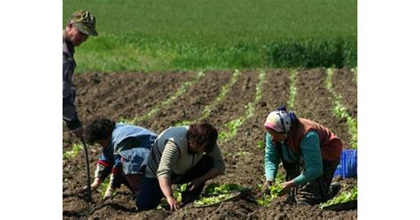 Почвените ресурси и тяхното устойчиво управление Български Фермер