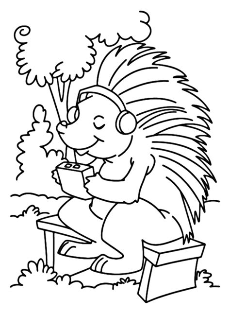 Lovely Porcupine Coloring Page Pdf Free Printable Coloring Pages
