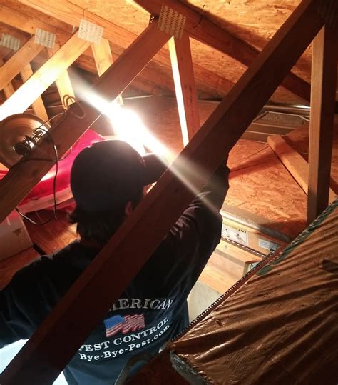 Pest Control Service In Kissimmee Florida 1999 Monthly